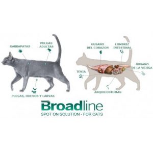 Pipeta Broadline gatos 2,5 - 7,5kg - Agropets